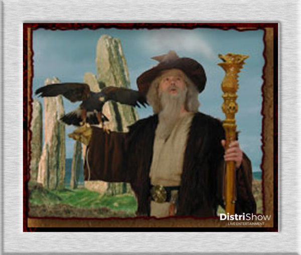 MERLIN MAGICIEN - DistriShow - Booking